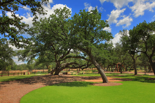 What’s New at Parmer Ranch | Empire Homes